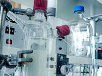 Monoclonal Antibody Production And Purification