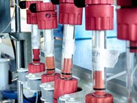 Monoclonal Antibody Production And Purification